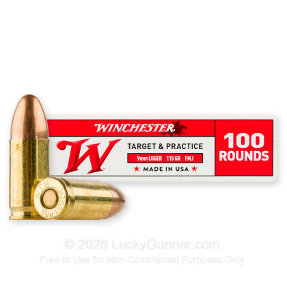 100 9 mm bullets