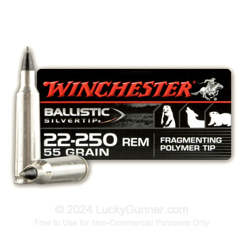 Premium 22-250 Ammo For Sale - 55 Grain Polymer Tip Ammunition in Stock ...
