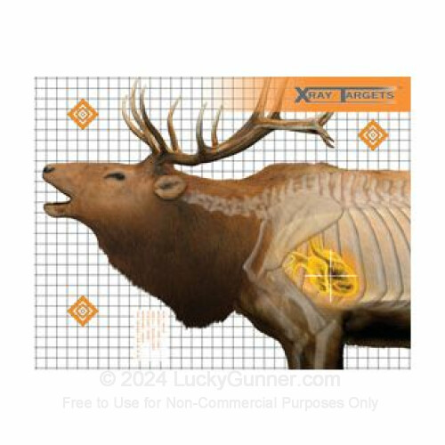 Champion X-Ray Elk Targets For Sale - Anatomy Targets In Stock